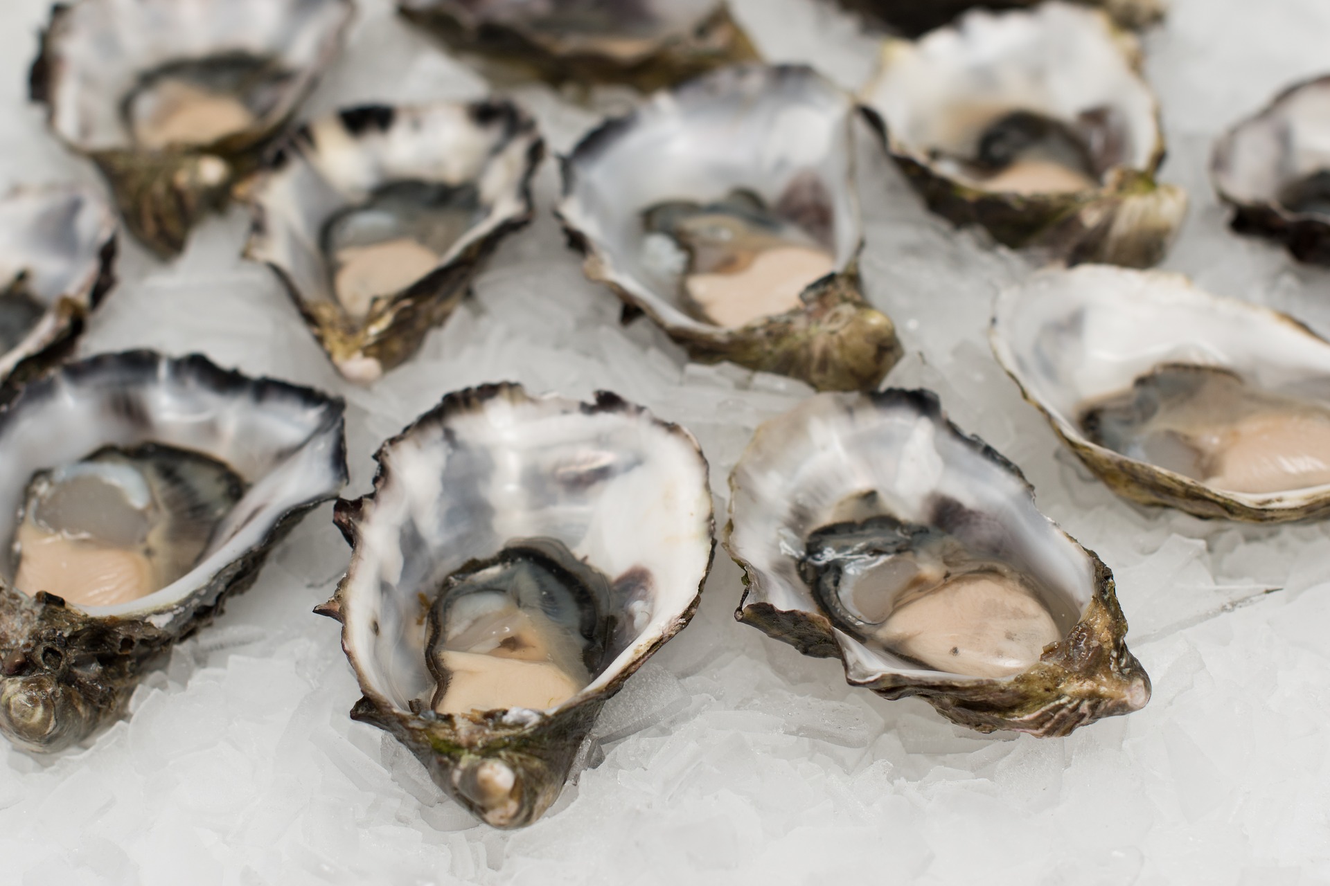 🦐 Kalorier i Østers - Gratis Kalorietabel